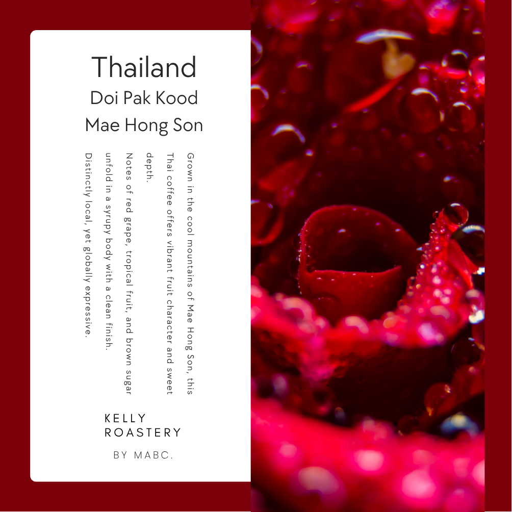 Thailand, Doi Pak Kood, Mae Hong Son - Kelly Roastery By MABC. | cafn.co